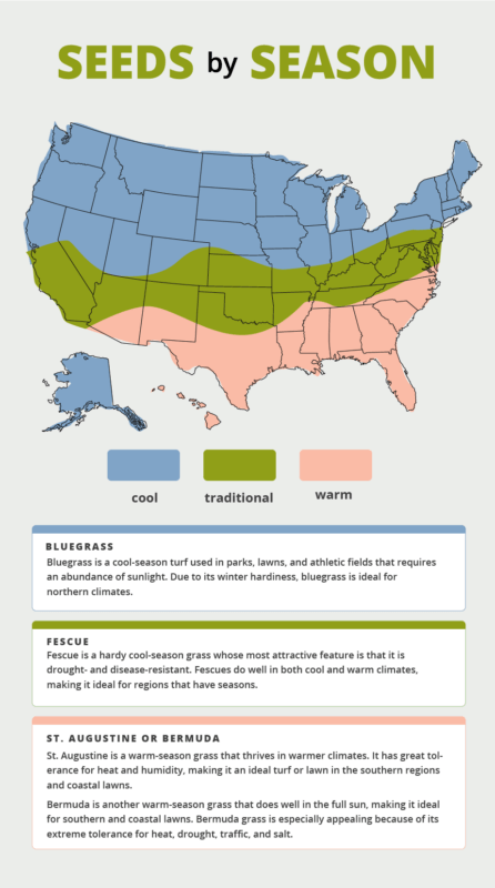 How to Choose the Right Grass Seed For a Thriving Lawn - Nature's Seed