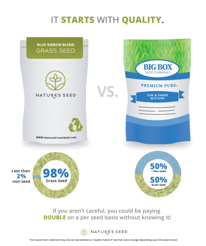 How to Choose the Right Grass Seed For a Thriving Lawn - Nature's Seed