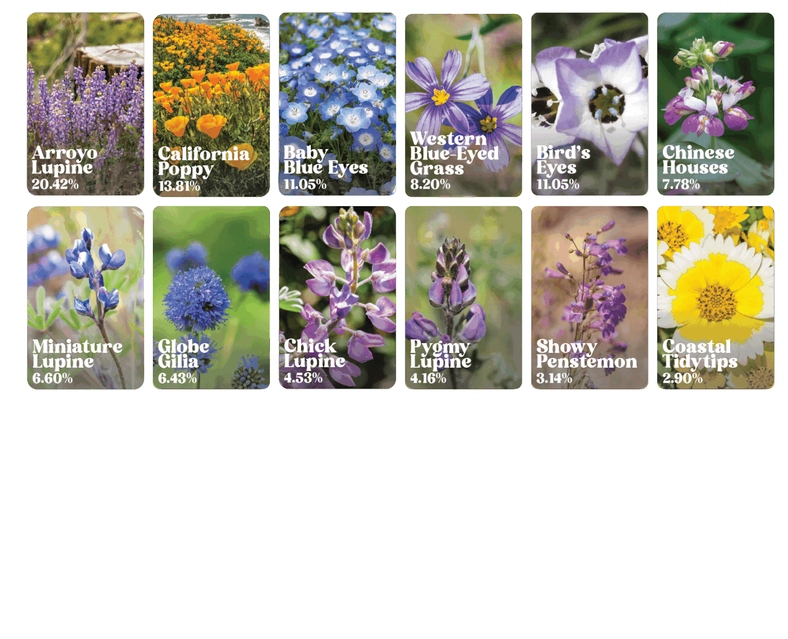 Coastal California Wildflower Seed Mix - Wildflower Blend for Coastal ...