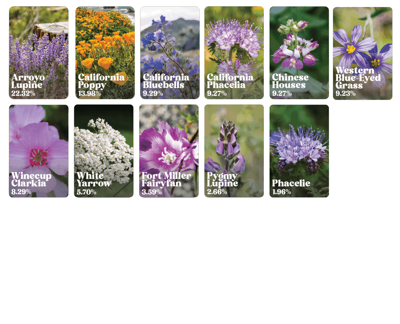 California Wildflower Seed Mix - Native California Wildflower Seed Blend