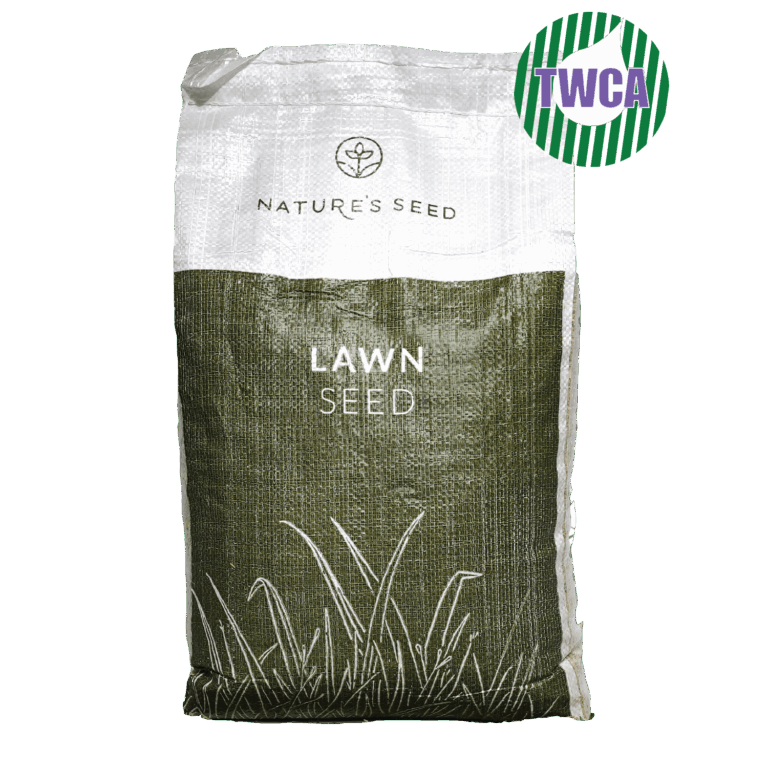 Grass Seeds | Best Grass & Lawn Seed