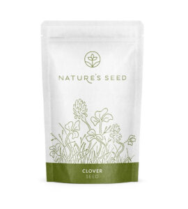 White Dutch Clover Seed for Lawns, Pastures, & Ground Cover