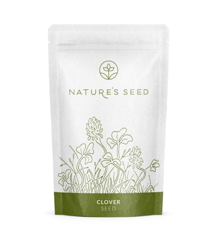White Dutch Clover Seed for Lawns, Pastures, & Ground Cover