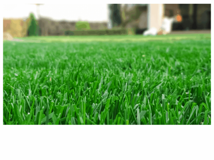Clover Planting Instructions - Nature's Seed